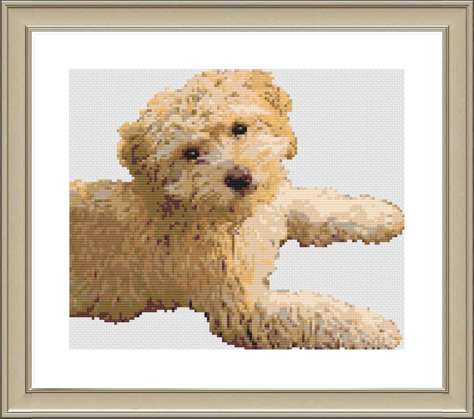 Cavapoo/Cavoodle Dog cross stitch pattern