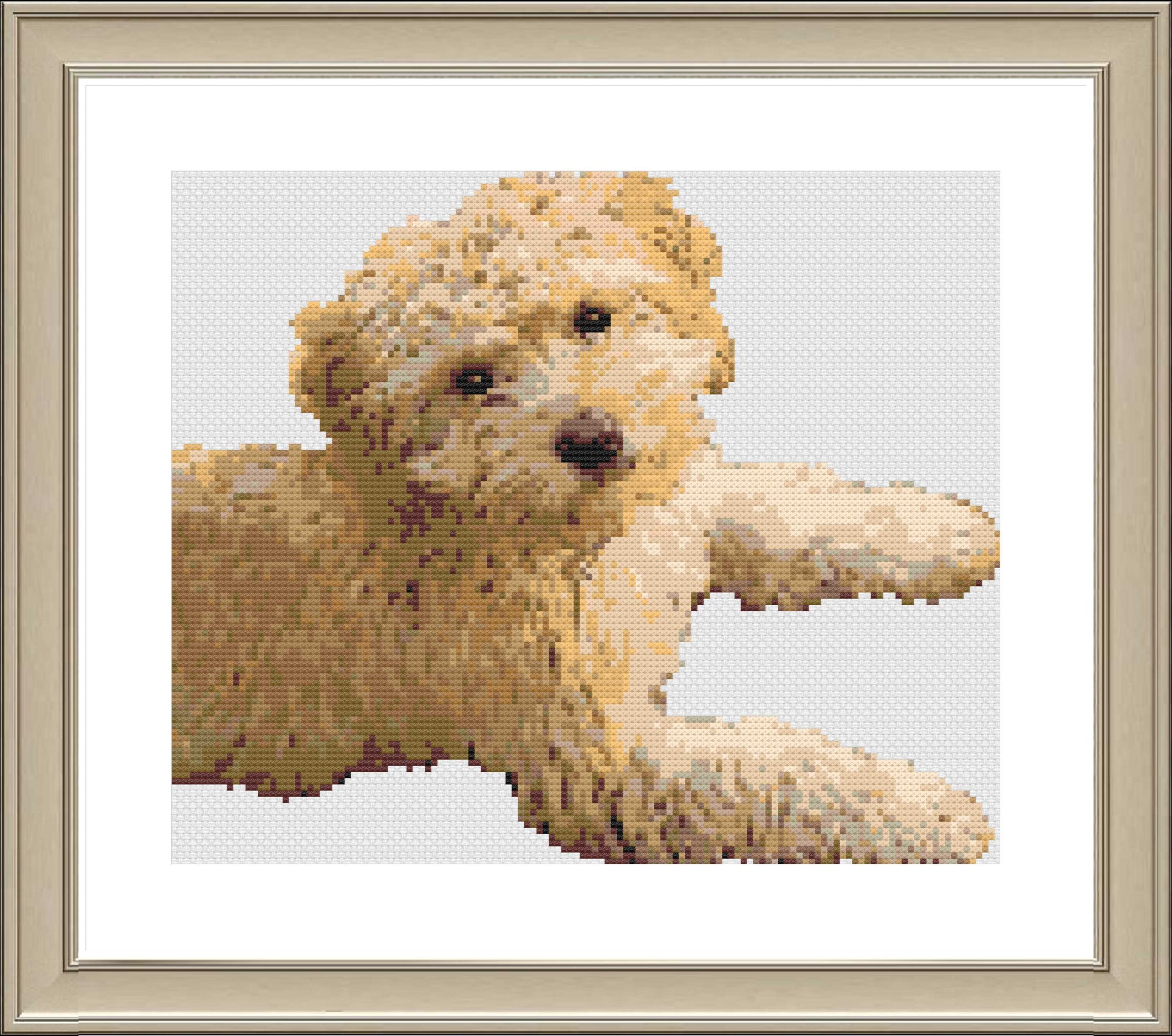 Cavapoo/Cavoodle Dog cross stitch pattern