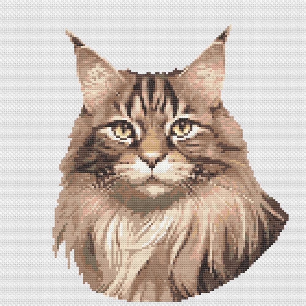 Maine Coon cat cross stitch pattern