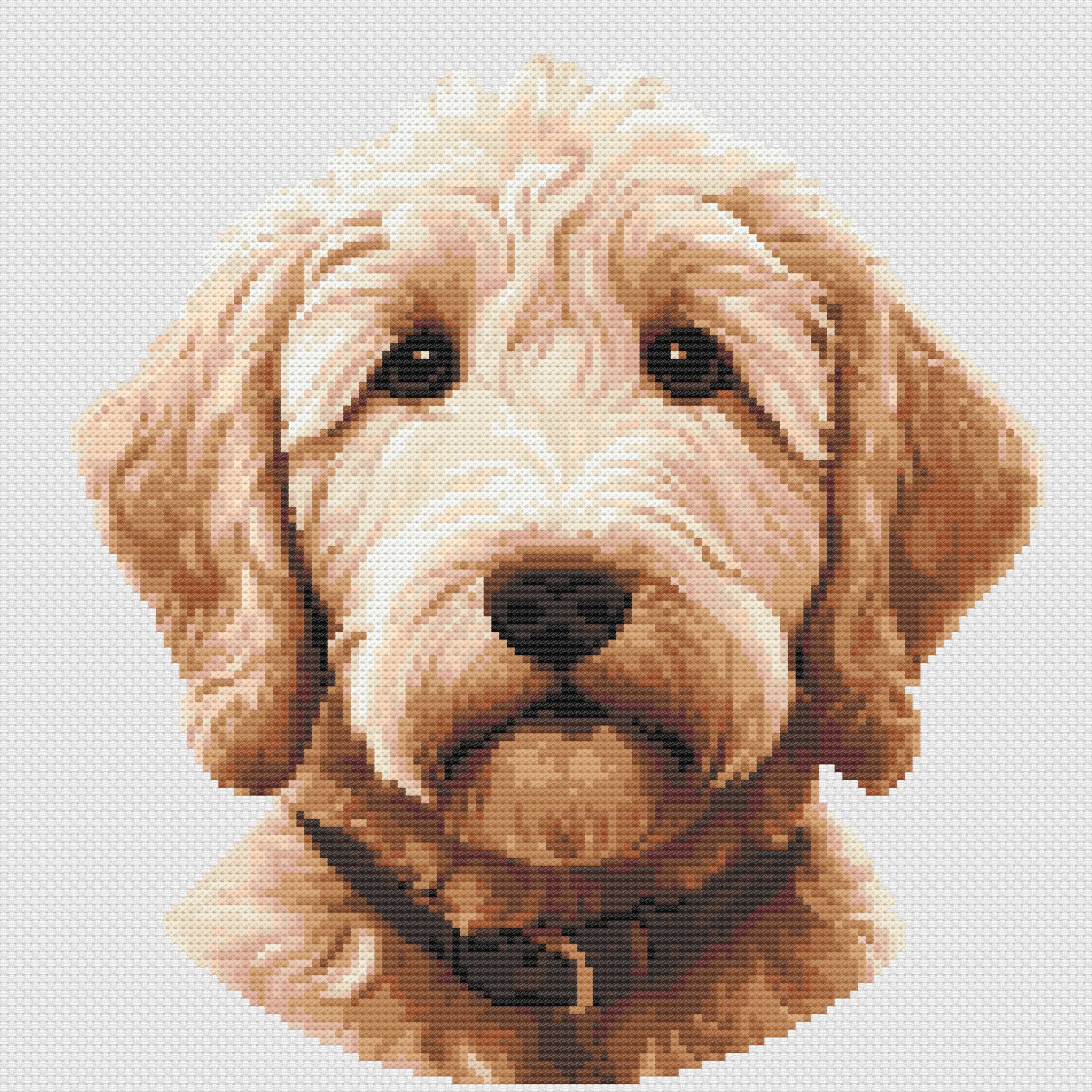 Cute Goldendoodle cross stitch pattern